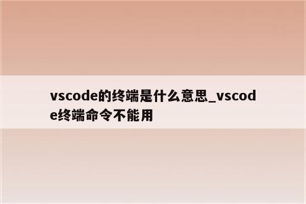 Vscode的终端是什么意思vscode终端命令不能用 陕西卓智工作室