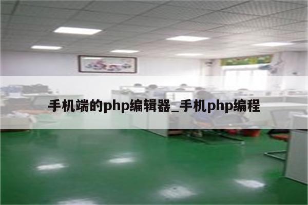 手机端的php编辑器手机php编程 陕西卓智工作室