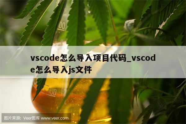 Vscode怎么导入项目代码vscode怎么导入js文件 陕西卓智工作室