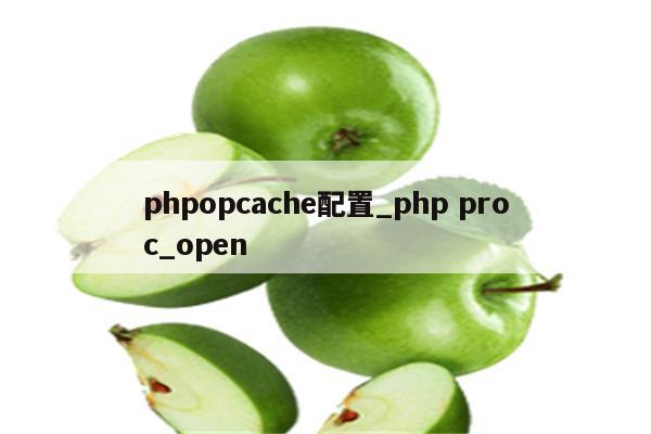 phpopcache配置_php proc_open - 陕西卓智工作室
