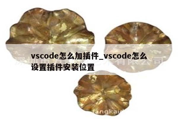 Vscode怎么加插件vscode怎么设置插件安装位置 陕西卓智工作室