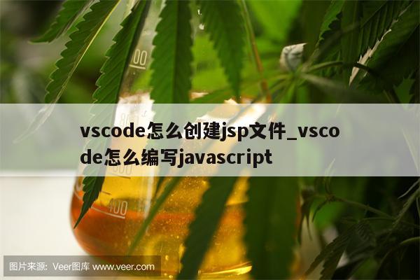 Vscode怎么创建jsp文件vscode怎么编写javascript 陕西卓智工作室