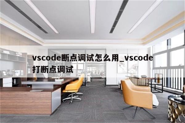 Vscode断点调试怎么用vscode打断点调试 陕西卓智工作室 