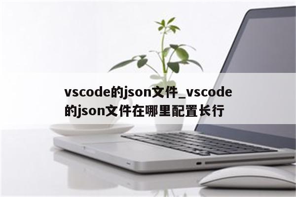 Vscode的json文件vscode的json文件在哪里配置长行 陕西卓智工作室 