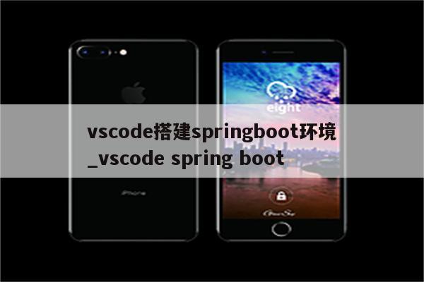 vscode搭建springboot环境_vscode spring boot - 陕西卓智工作室