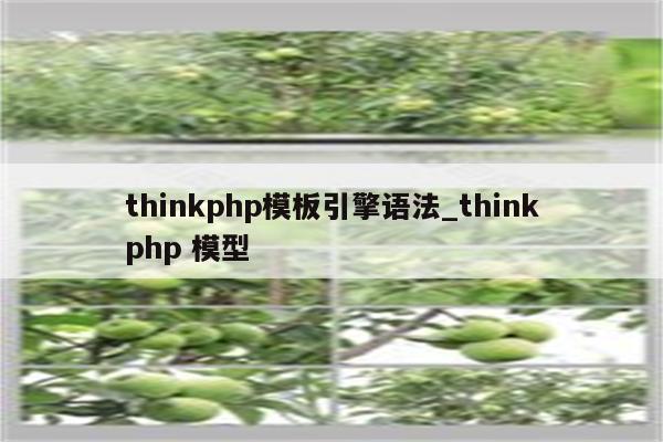 thinkphp模板引擎语法_thinkphp 模型 - 陕西卓智工作室