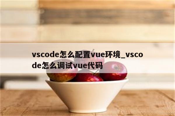 Vscode怎么配置vue环境vscode怎么调试vue代码 陕西卓智工作室