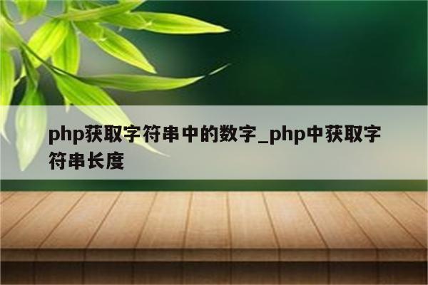 Php获取字符串中的数字php中获取字符串长度 陕西卓智工作室