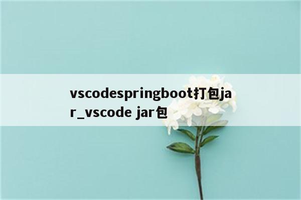 vscodespringboot打包jar_vscode jar包 - 陕西卓智工作室