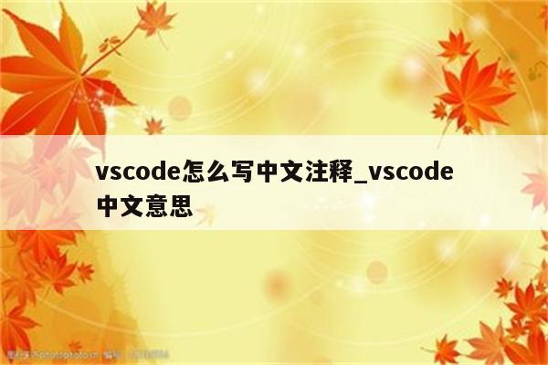 Vscode怎么写中文注释vscode中文意思 陕西卓智工作室 