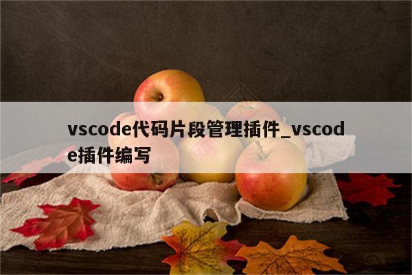 Vscode代码片段管理插件vscode插件编写 陕西卓智工作室
